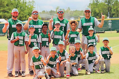 Suwannee 8U baseball team goes undefeated on its way to the ...