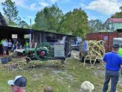 Sugar Cane Festival proves to be a sweet success - Riverbend News