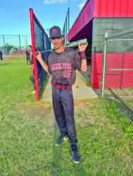 Hamilton celebrates baseball senior - Riverbend News