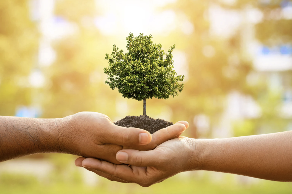 Florida Arbor Day - Riverbend News